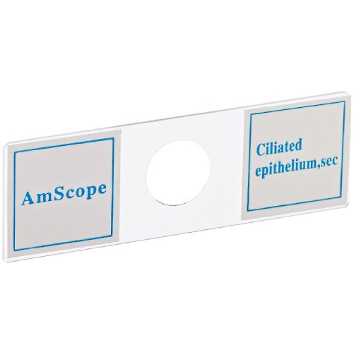 AmScope PS100A Prepared Microscope Slide Set for Basic Biological Science Education, 100 Slides, Set A, Includes Fitted Wooden Case