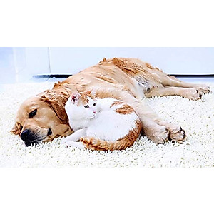 cat Urinary Diet - PET Healthy Urinary Complex - Dogs and Cats - Natural - VETS Recommended - cat Marshmallows - 1 Bottle (90 Treats)