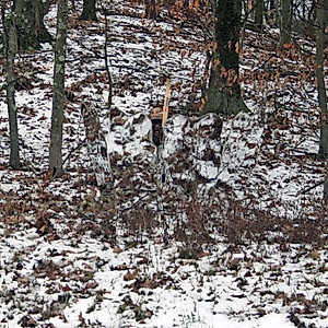 GhostBlind 4-Panel Predator Blind, Silver