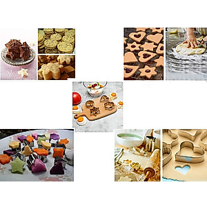 12PCS Stainless Steel Cookie Cutters Shapes Baking Set, Flower Round Heart Star Shape Biscuit Stainless Steel Metal Molds Cutters for Kitchen Baking Halloween Christmas Small Cookie Cutters