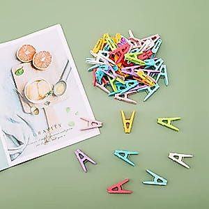 56 PCS Clothespins Plastic Colorful Small Clips, 8 Bright Colors Clothes Drying Line Pegs Mini Clothes Pins Clothesline Crafts Photos Paper Picture Towel Clips Clothes Pin （8 Colors）