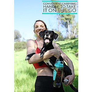 AquaFrut 32 OZ Fruit Infuser Water Bottle BPA-Free Fruit Infusion Sports Bottle - Flip Top Lid w Drinking Spout, Leak Proof, Made of Durable Tritan. Free Recipe eBook! (Rose)