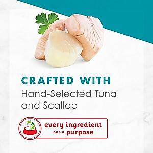 Purina Fancy Feast Wet Cat Food Complement, Appetizers Light Meat Tuna With a Scallop Topper - (10) 1.1 Oz. Trays