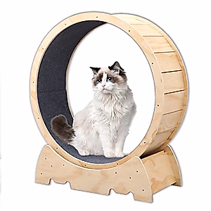 Cat Running Wheel, Indoor Cat Toys Exercise Wheel,Cute Natural Wood Cat Wheel for All Cats Loss Weight Device,Natural,93cm(36.6")