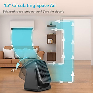 TRUSTECH 2 in 1 Cooler & Heater - Desk Electric Small Cooling and Heating Fan Combo W/Tip Over & Overheat Protection, Desktop for Indoor Use Home Room Office Bedroom Room Personal
