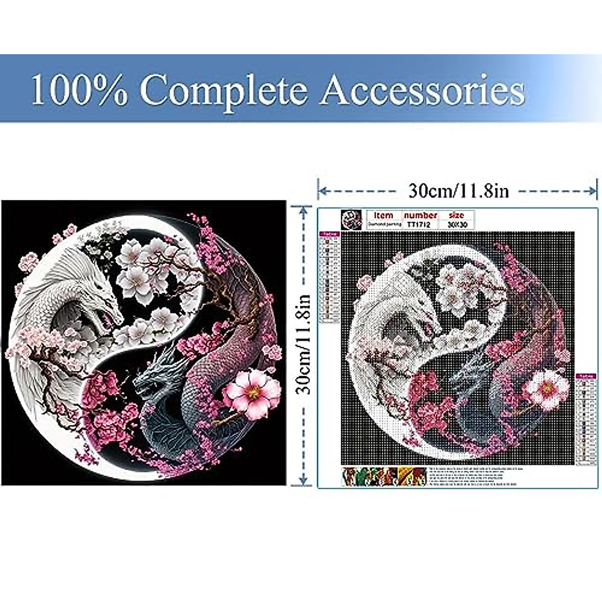 JFYHAB Dragon Diamond Painting Kits-Taichi Dragon Diamond Painting Kits for Adults,5D DIY Full Drill Dragon Diamond Art for Home Wall Decor 12x12inch