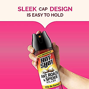 Hot Shot Ant, Roach And Spider Killer 2-17.5 Ounce Aerosol Cans, Fresh Floral Scent, Twin Pack