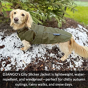 DJANGO City Slicker All-Weather Dog Jacket & Water-Repellent Raincoat with Reflective Piping (Medium, Kombu Green)