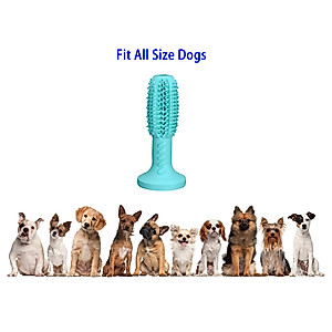 OUQIQI Dog Toothbrush Chew Toys Natural Rubber Toothbrush Toys for Dog