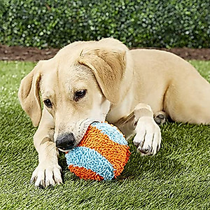 Chuckit! Indoor Fetch Ball Dog Toy (4.75 Inch), Orange and Blue