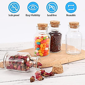 Keketin 24 Pack Glass Jars Bottles with Cork Lids,5oz Herb Bottles 150ml Spice Jars with 215 Labels,Clear Glass Decorative Jars for Tea Leaves,Spices,Nuts,Seasonings or Party Favors