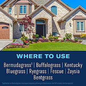 BioAdvanced All-In-One Lawn Weed and Crabgrass Killer I, Ready-to-Use, 24 oz