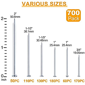 KURUI 700pcs Hardware Nails for Hanging Pictures Assorted Kit, Up to 2"-Long Picture Hanging Nails for Wall Drywall Wood, 6 Sizes Nails Assortment Kit, 640 Frame Nails and 60 Small Finishing Nails