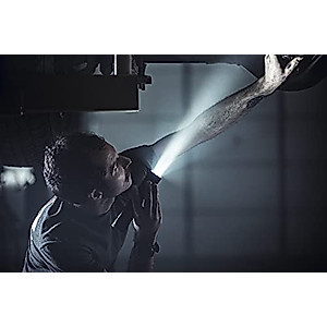 Streamlight 78101 Stinger 2020 2000-Lumen Rechargeable Flashlight with 120V AC/12V DC 1 Holder Charger, Black