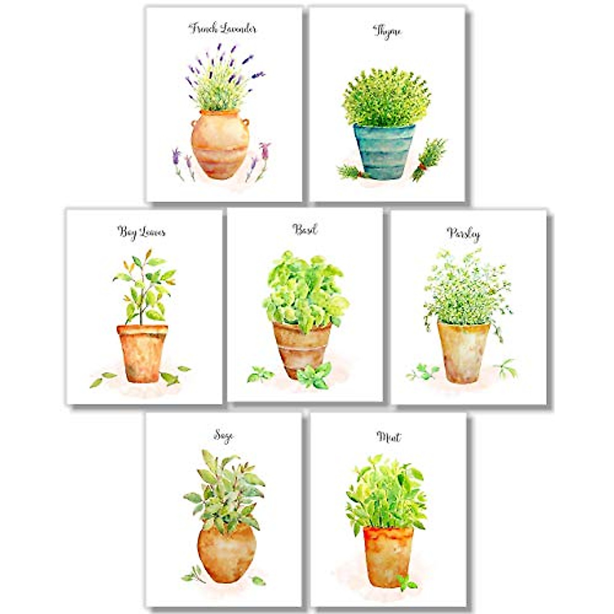 Kitchen Wall Art - Herbs Prints in Pots (Set of 7) - Farmhouse Decor - Unframed Botanical Prints (5x7)