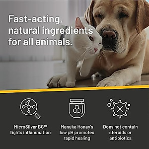 Absorbine Silver Honey Hot Spot & Wound Care Ointment (2) 2oz Tubes, Manuka Honey & MicroSilver BG, Medicated for Dogs, Cats, Small Animals