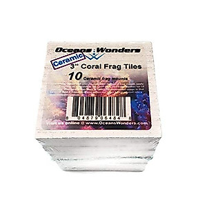 Oceans Wonders Ceramic XXL 3" Coral Frag Tiles 10pc