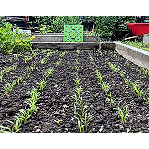 Seeding Square – Seed Sowing Template for Maximum Harvest - Square Foot Gardening Tool Kit – Includes: Color Coded Seed Spacer & Magnetic Seed Dibber/Seed Ruler/Seed Spoon & Vegetable Planting Guide