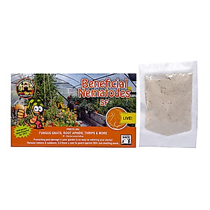 Natures Good Guys - Beneficial Nematodes Steinernema Feltiae - SF (10 Million)
