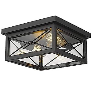 Emliviar 12 Inch Ceiling Light Fixture, 2-Light Flush Mount Ceiling Light in Black Finish, 0387B-CL BK
