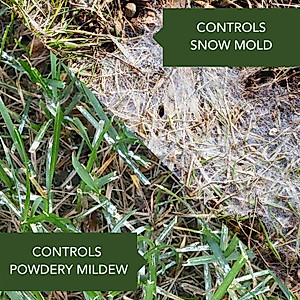 BioAdvanced Fungus Control for Lawns, Granules, 10 lb