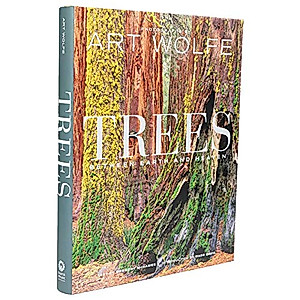 Trees: Between Earth and Heaven