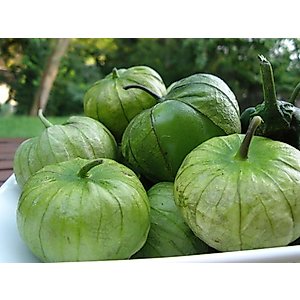 100+ Tomatillo Verde Seeds- Heirloom Variety-"Green Tomato","Ground Cherry"