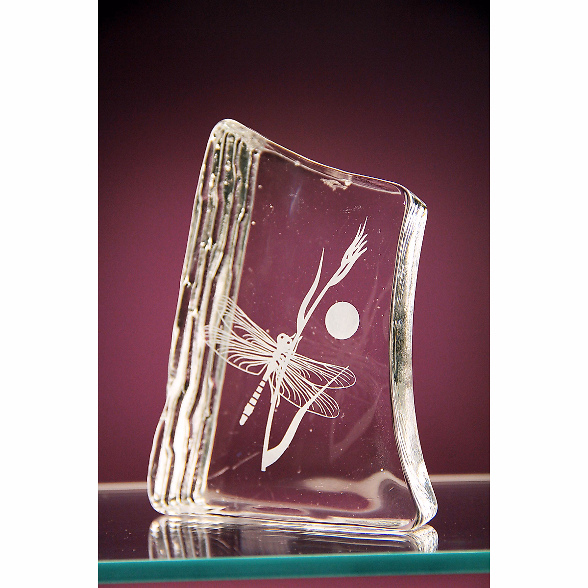 Armour Etch 10-0101 93 Piece Deluxe Glass Etching Kit, Multicolor