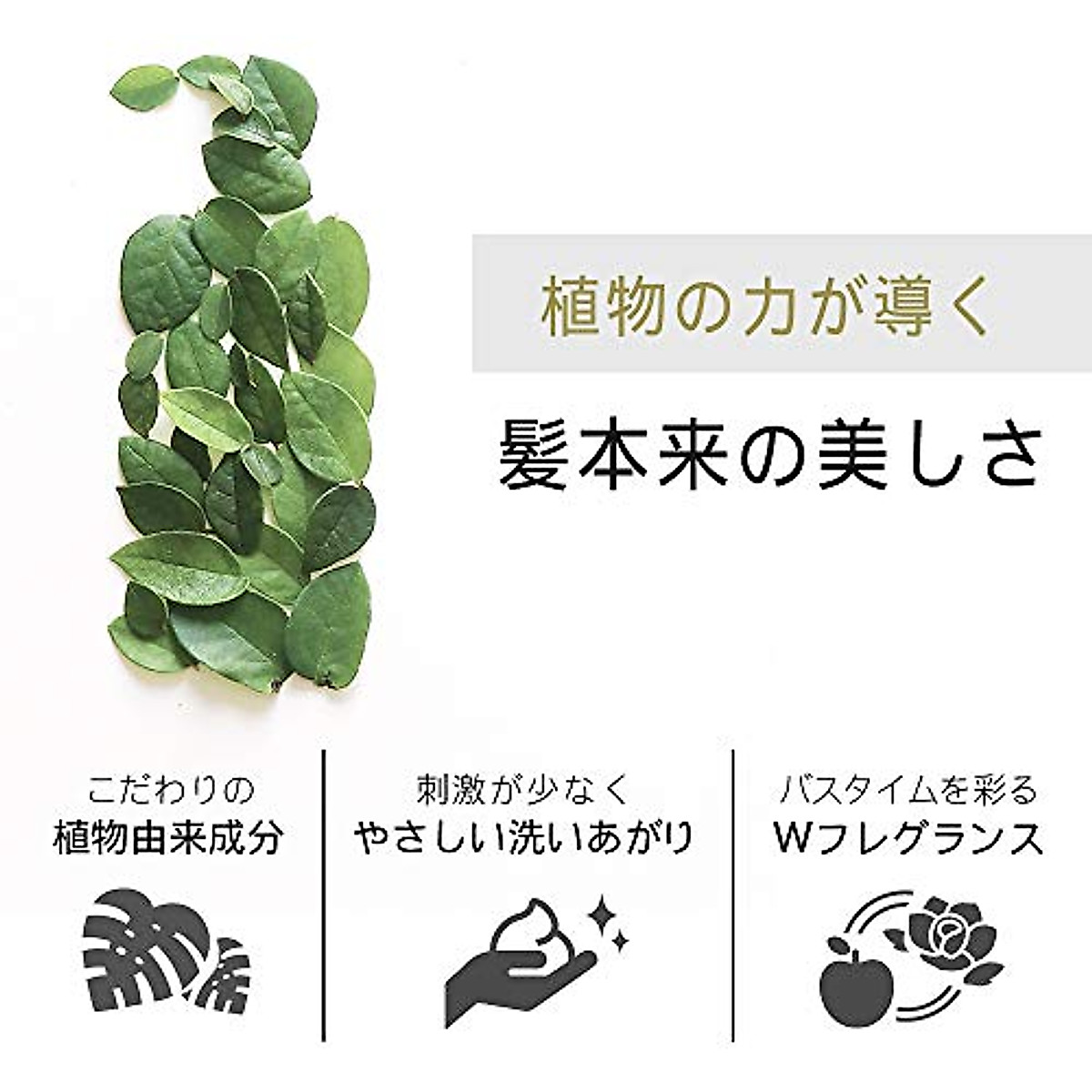 BOTANIST Botanical Shampoo [Moist] Net wt. 490mL/ 16.6 fl oz.