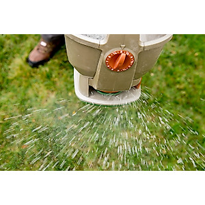 Scotts Wizz Battery Powered Fertilizer, Seed, and Ice Spreader