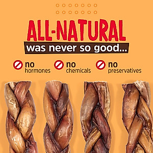 Dogfy Braided Power Bully Sticks Dog Chews (6”, 10-Pack), 2-in-1 Power Chews: Premium Beef Cheek Wrapped in Beef Pizzle, Braided Together for a Very Long Lasting Chew, Great for Medium Dogs