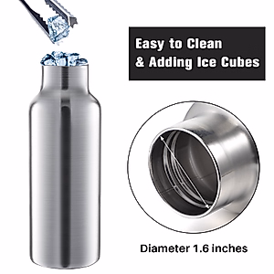 10 Pack 17oz Stainless Steel Sports Water Bottle Double Wall Insulated Bottle with Handle and Vacuum Seal Leakproof Lid for Cyclists Runners Hikers Beach Goers Picnics Camping Gift (Silver)