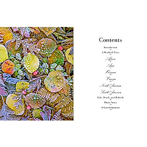 Trees: Between Earth and Heaven