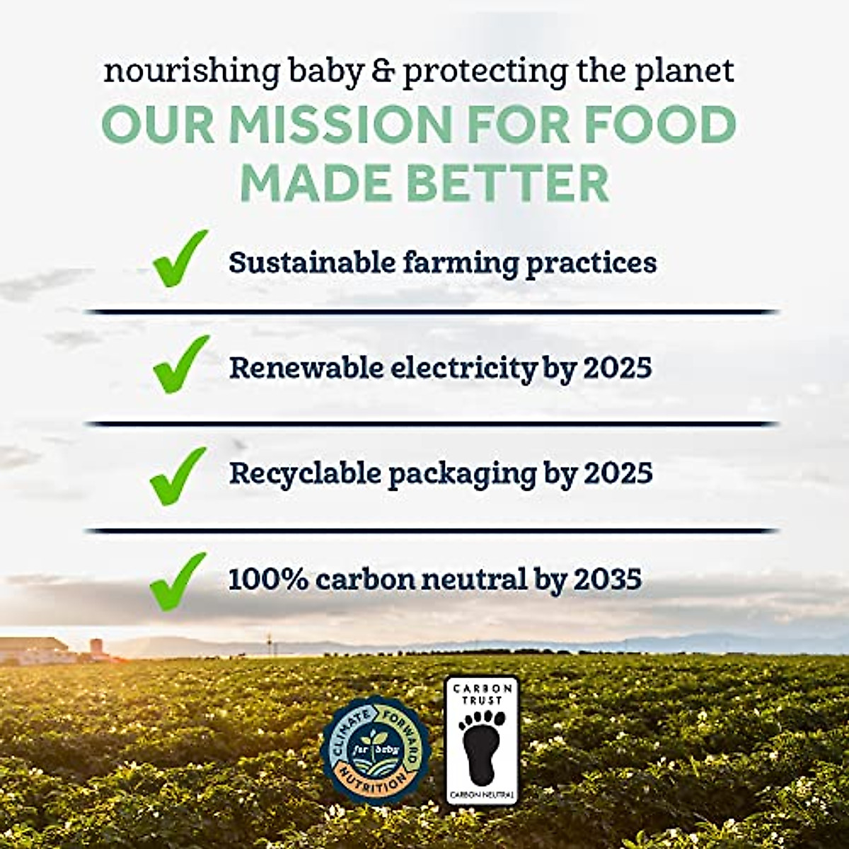 Gerber Organic Grain & Grow Morning Bowl, Oats, Barley & Red Quinoa With Banana & Summer Berries, 4.5 Ounce (Pack of 8)