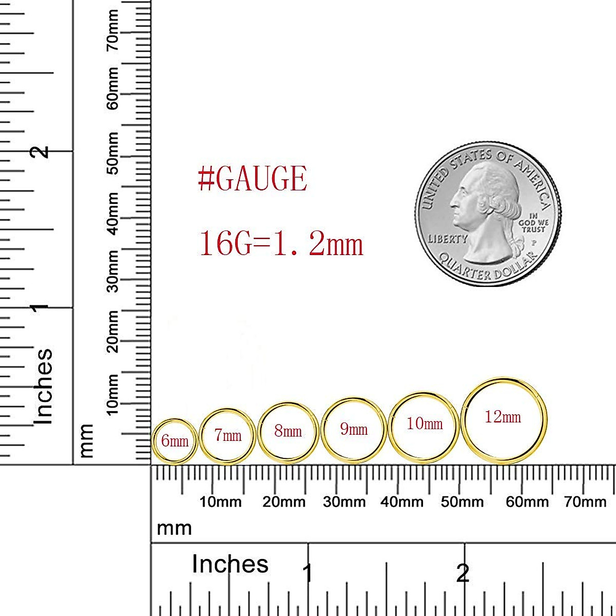 OreilleStar Nose Rings Septum Hoops Hypoallergenic 316L Surgical Steel Small Round Clicker Hinged Earrings Gold 16Gauge 6MM for Helix Cartilage Daith Snug Tragus Lobe