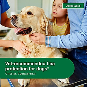 Advantage II Large Dog Vet-Recommended Flea Treatment & Prevention | Dogs 21-55 lbs. | 4-Month Supply