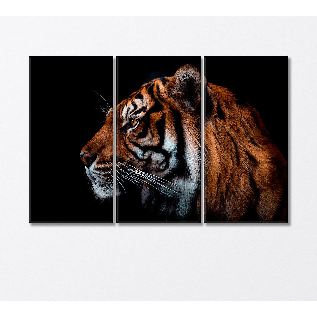Sumatran Tiger Canvas Print 1 Panel / 36x24 inches
