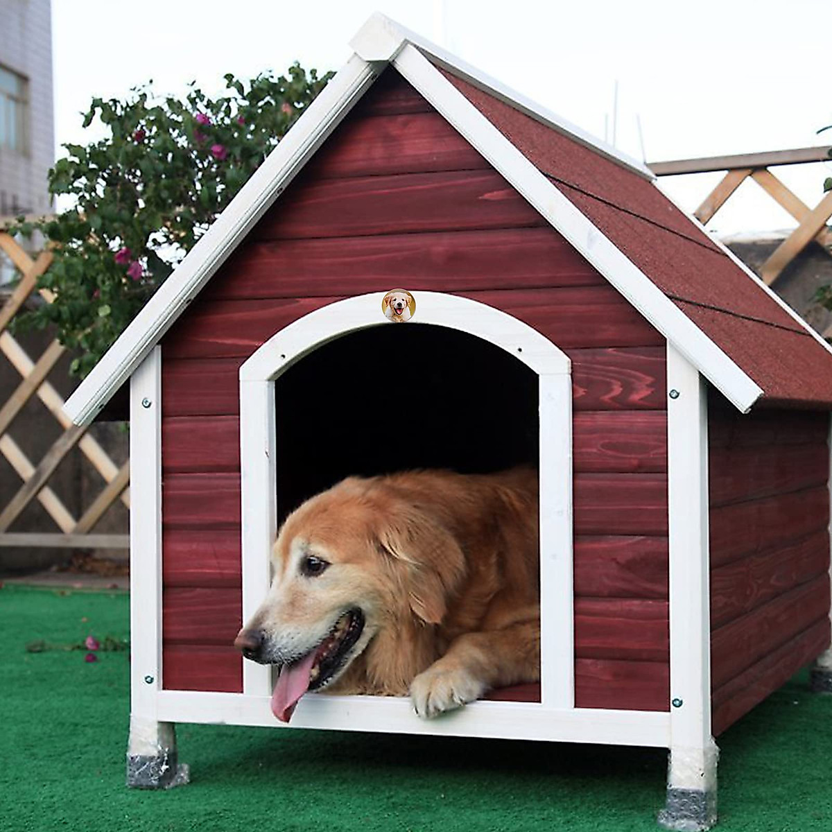 BENBO 1500 Pcs Zoo Animal Stickers, 1 Inch Cute Puppy Stickers Rolls Dog Cat Stickers Realistic Cute Kitten Labels for Party Favor Holiday Envelope Seal Scrapbooking Stickers Classroom Reward Stickers