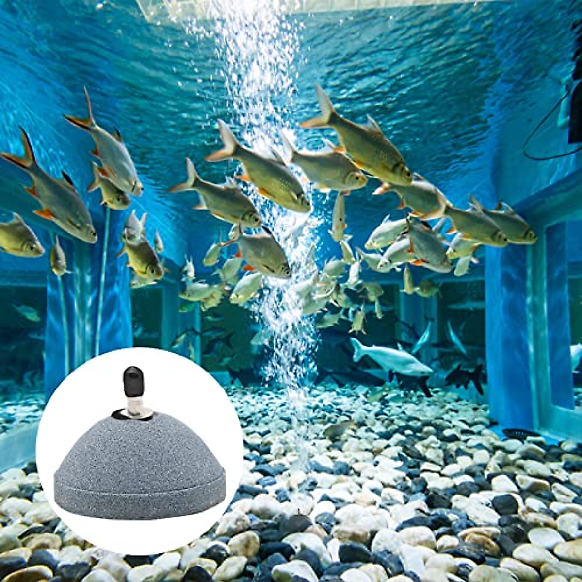 BLLREMIPSUR 2 Inch Air Stone Aquarium Bubble Diffuser, Hemisphere Shaped Airstones Oxygen Stone for Fish Tank, Pump and Hydroponics, Fits for 0.157 Inch / 4 mm Inner Dia Tube