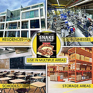 Harris Snake Glue Trap, Super Sized for Snakes, Rats, Mice and Insects (2-Pack)