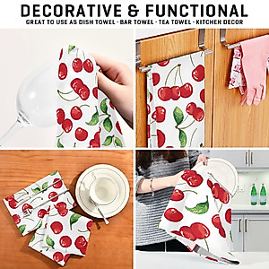 susiyo Red Cherry Fruits Kitchen Dish Towel, Set of 4 Pcs Soft Polyester Dish Cloth for Cooking Washing, 28 X 18 Inch