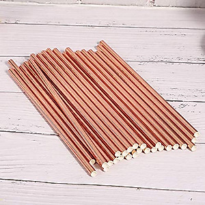 100Pcs Rose Gold Paper Straws Disposable Tableware for Party Birthday Wedding Celebrations Decorations