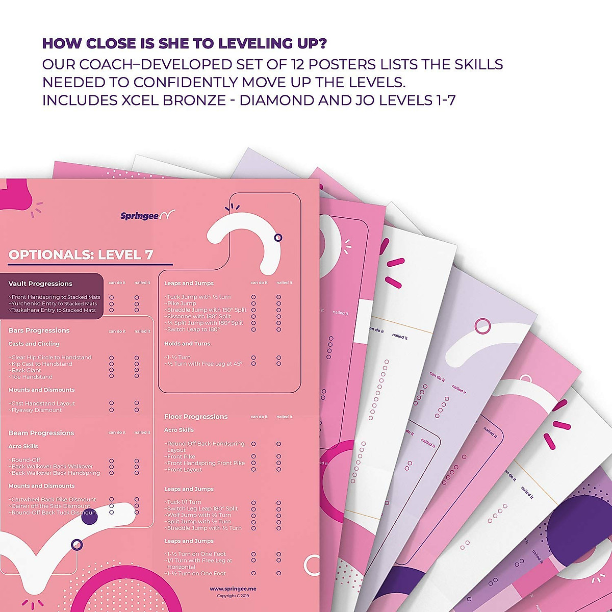 Springee Adjustable Height Team Gymnastics Bar - Gymnastics Equipment for Home - Kip Bar (Teal)