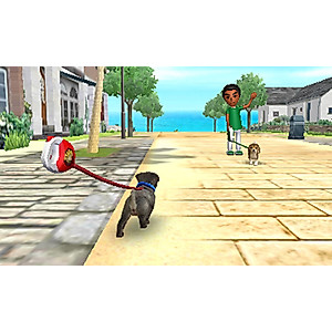 Happy Price selection nintendogs + cats Shiba & New Friends