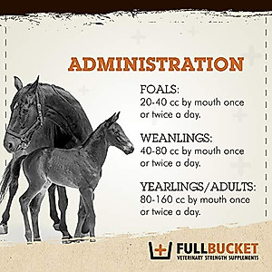 FullBucket Equine ADD BioClay Plus with Saccharomyces Cerevisiae Boulardii for Anti-Diarrhea; Concentrated Formula with 40 Billion CFUs – 1 Tube