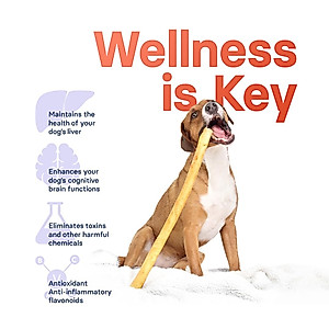 Liver Support & Health Supplement for Large Dogs – (Milk Thistle Dogs) Silymarin & Silybin Formula, (Same), S-Adenosylmethionine, 30 Tablets for Liver Detox & Support for Dogs