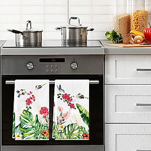 Lebsitey Hummingbird Geranium Flower Bird Kitchen Towel, 2 Pack Kitchen Towel, Absorbent Drying Tea Towel for Cooking Baking, 18 x 28 (Hummingbird Geranium)