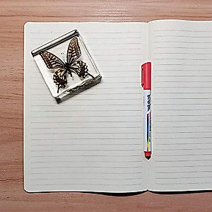 Real Butterfly Insect Specimens In Resin Paperweight Crafts, Animal Taxidermy Collection for Science Education & Desk Ornament (Butterfly-03)