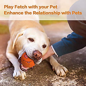 N-S Dog Toy,Squeaky Dog Toys Chewing Durable Teething Latex Rubber Soft Interactive Fetch Play Dog Balls with Funny Face for Puppy Small Medium Pet Dog (5PCS)