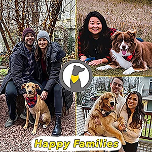 Odi Style Dog Bandana 4 Pack - Dog Bandanas Boy, Girl, Premium Durable Soft Lightweight Fabric, Buffalo Plaid Scarf for Medium and Large Dogs Pets, Black and White, Red, Green, Blue, Large